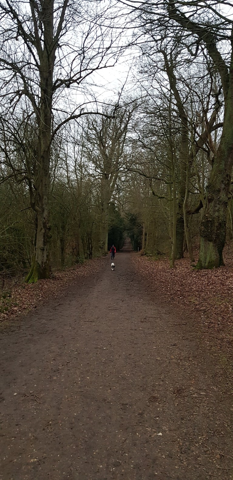 24hrs, 45km, 1 WildCamp + The Ridgeway – camping jedi